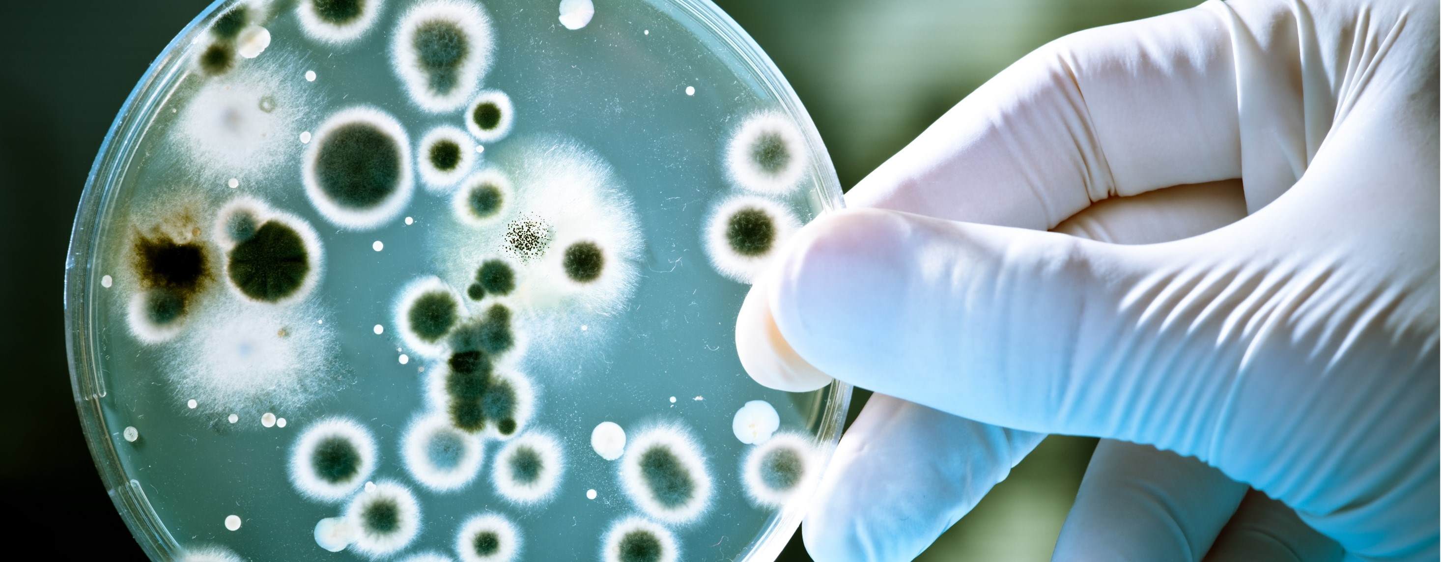 Croda’s first product launch specifically focusing on the biopesticide ...