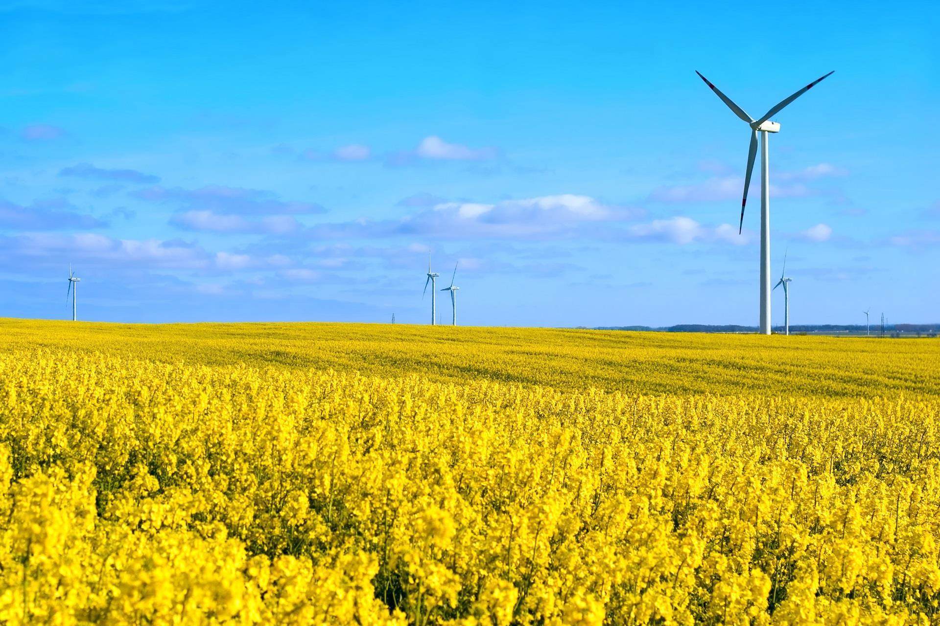 EFfCI Certification Achieved for All Major Cosmetic Ingredient ...